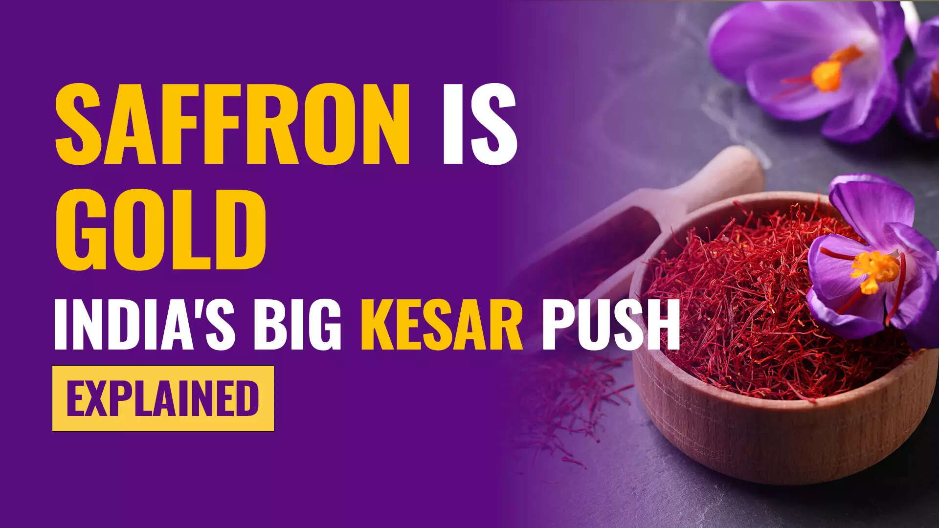Kashmir saffron price over Rs 2 lakh, Kesar farming boost, GI tag ...