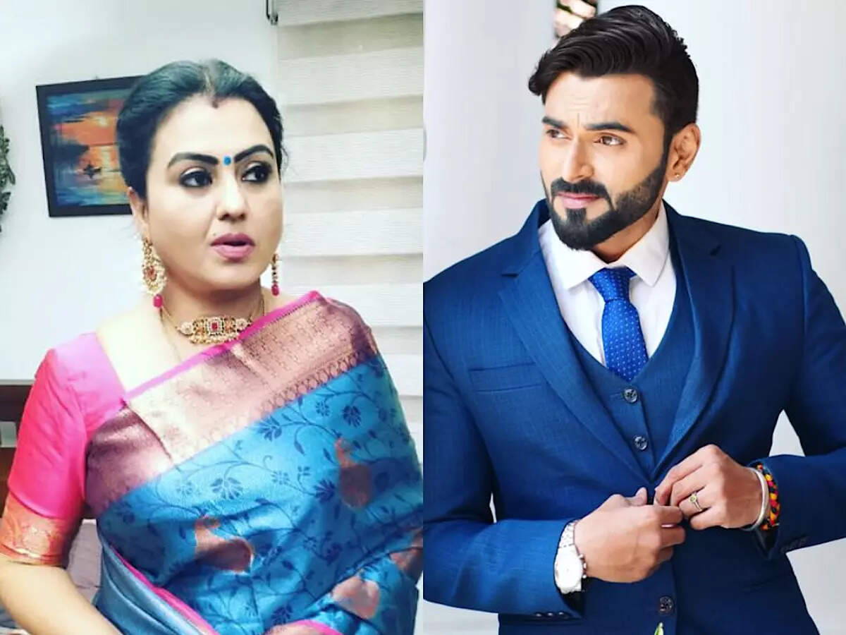 From Sona Heiden to Nithin Krish Iyer: TV celebs who quit popular daily ...