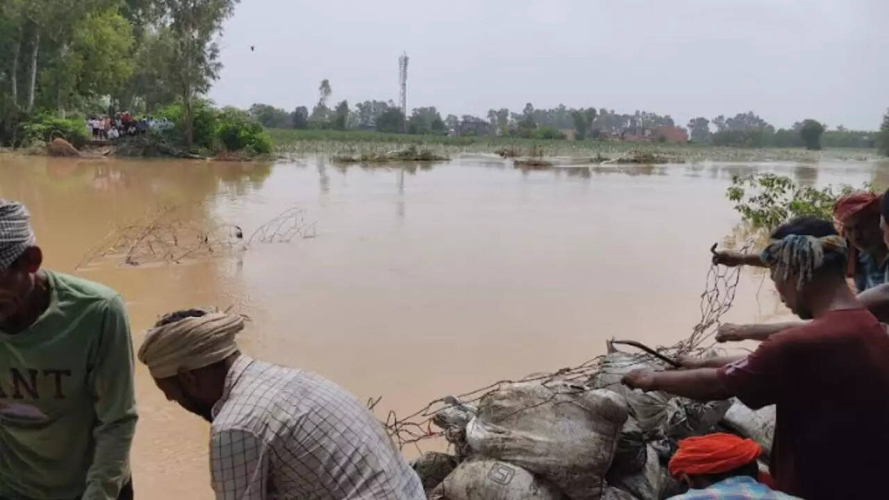 Punjab floods: Bridge over drain collapses in Gurdaspur