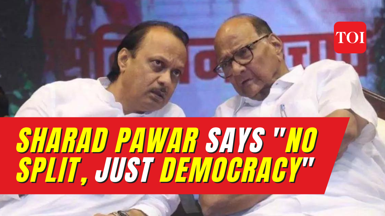 NCP Chief Sharad Pawar denies party split; affirms Ajit Pawar remains Nationalist Congress Party ...