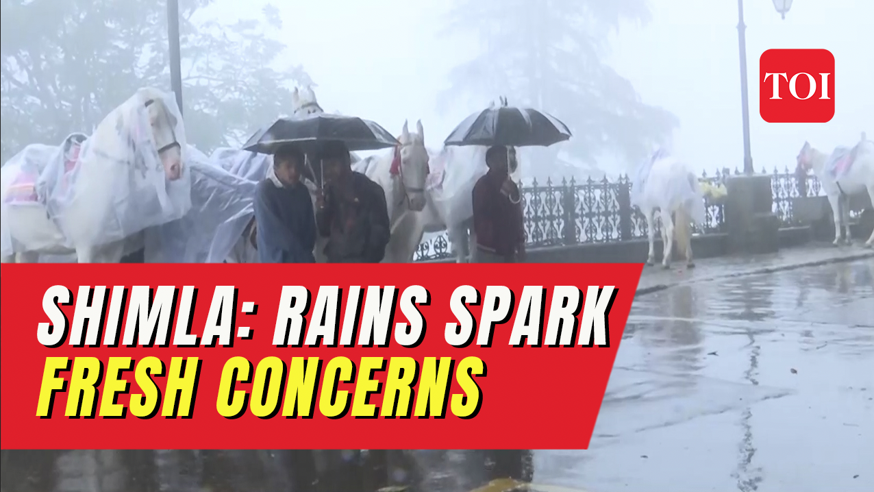 Heavy rains lash Shimla again, residents fear more destruction