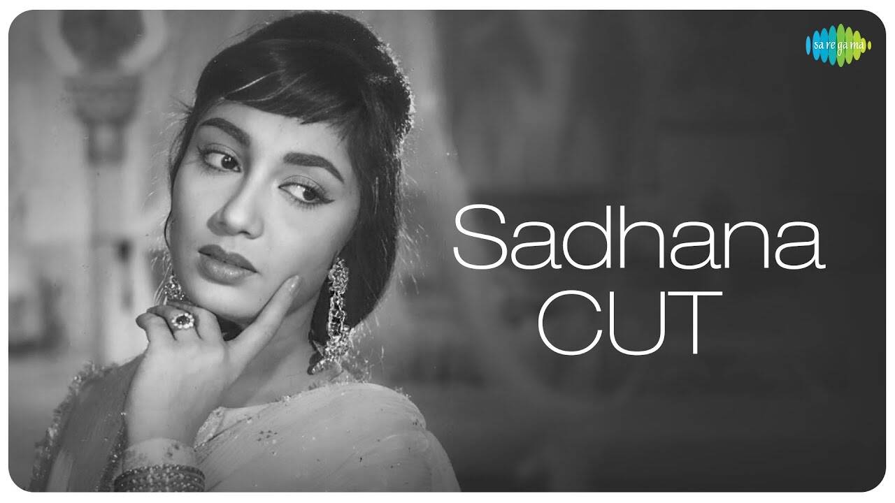 Hindi Songs | Sadhana Special Songs | Jukebox Song