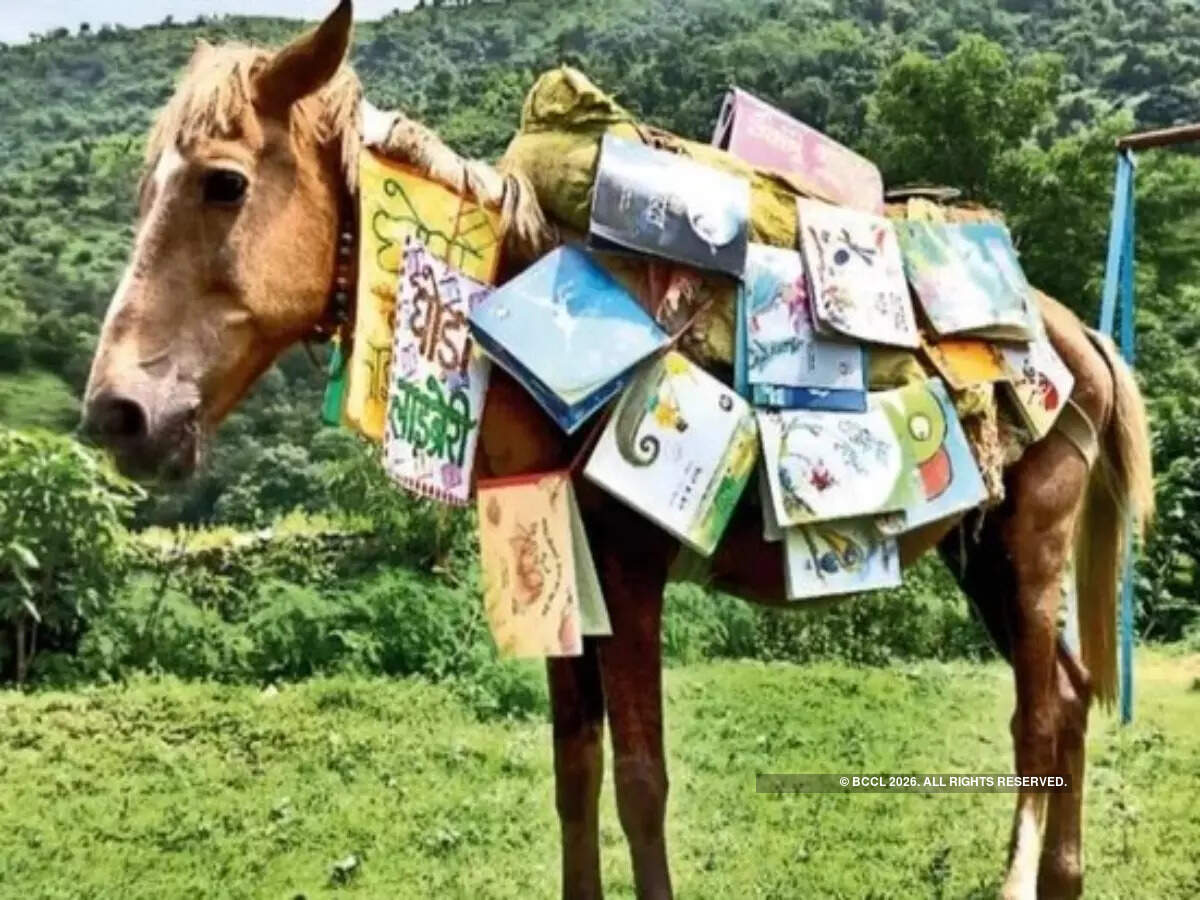 This quirky ‘Ghoda Library’ in Nainital is winning hearts and minds ...