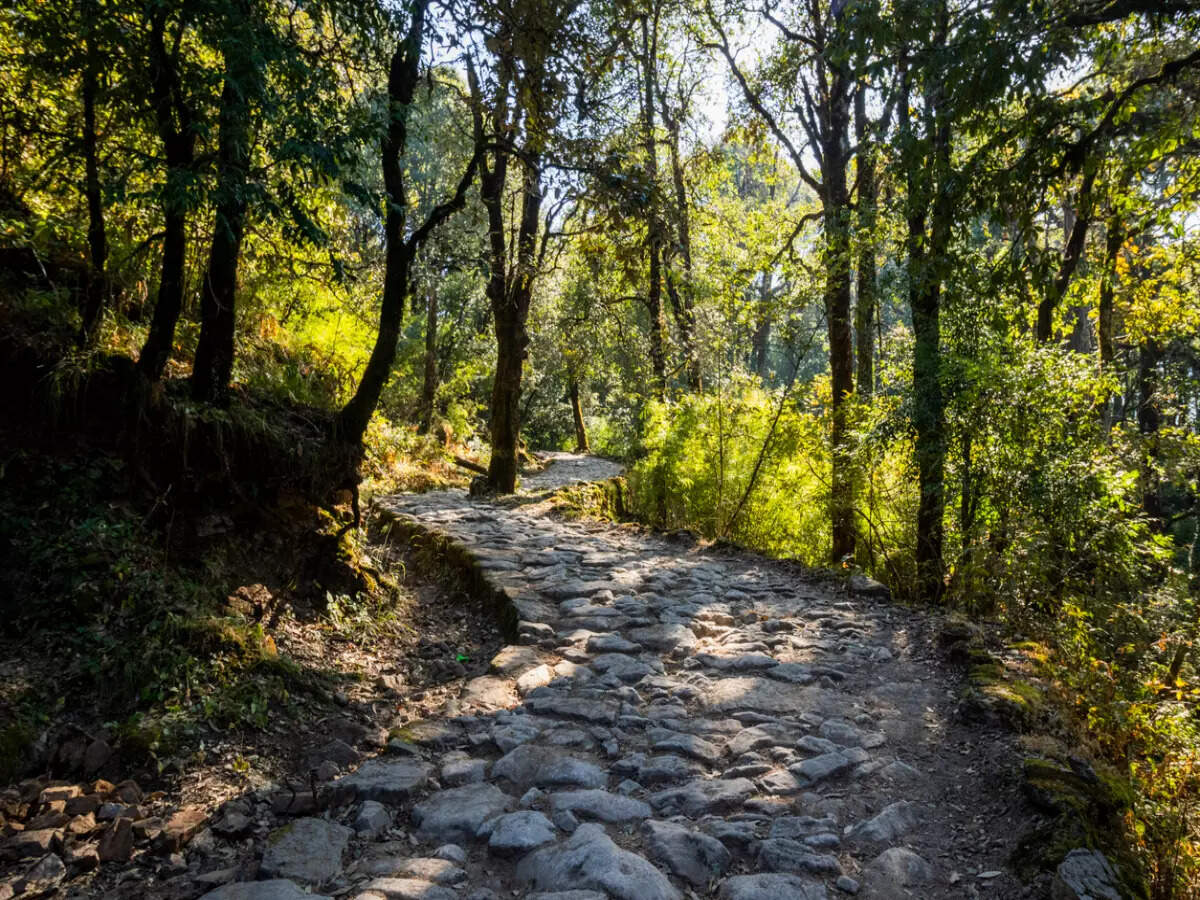 This quirky ‘Ghoda Library’ in Nainital is winning hearts and minds ...