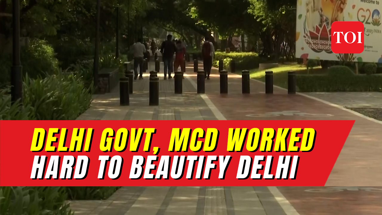 “BJP has destroyed the MCD in the past 15 years,” claims AAP Minister Atishi ahead of G-20 Summit