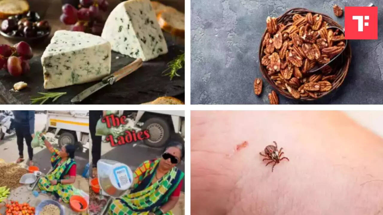 Viral Alert: Food news that ruled the internet this week (Aug 28- Sep 3 ...