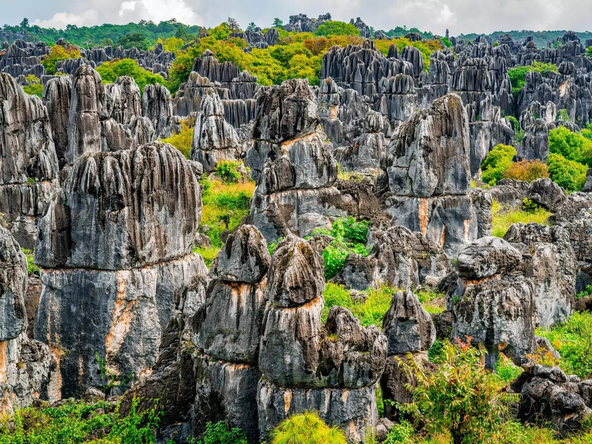 What’s inside this forest of stone in China?, Yunnan - Times of India ...