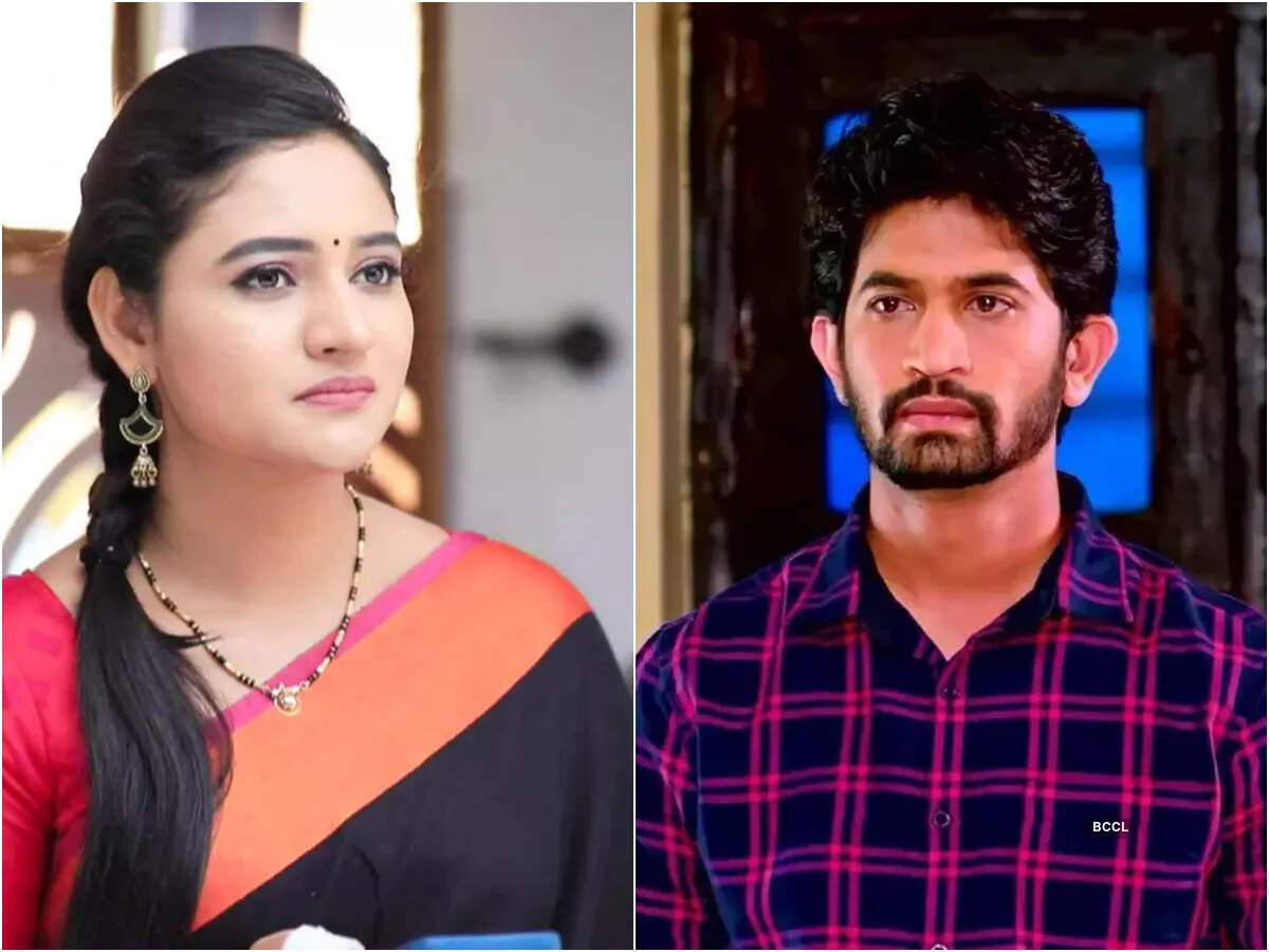 From Ranjani Raghavan to Pavan Kumar: TV stars who are best known for ...