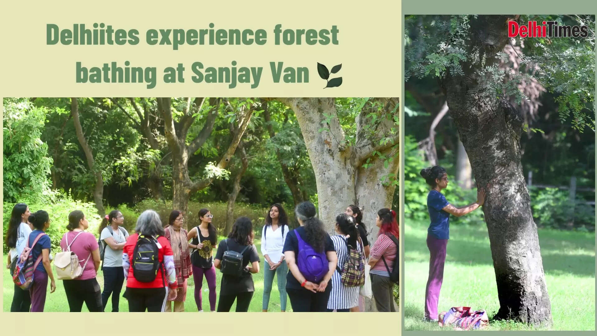 forest bathing: Delhiites experience forest bathing at Sanjay Van