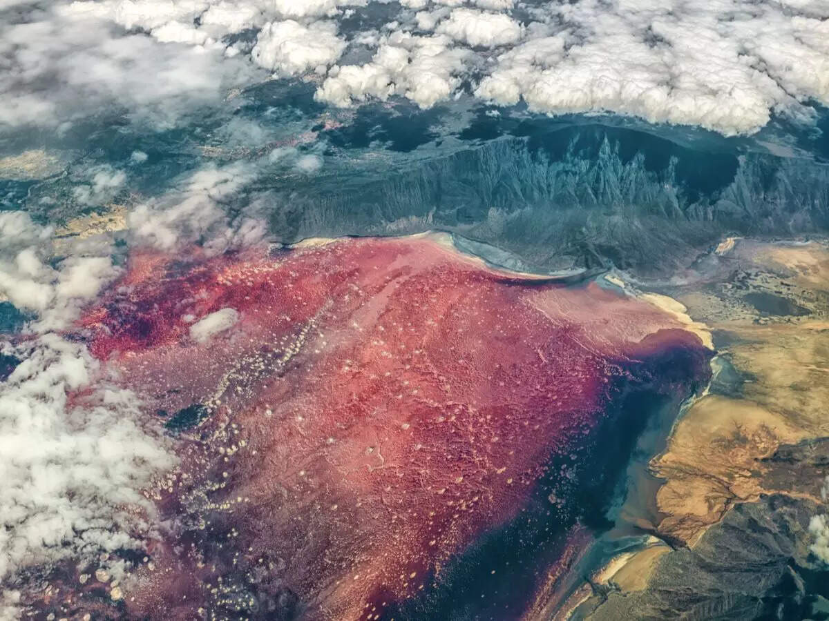 Does Lake Natron really turn animals into stone? Mystery of world’s ...