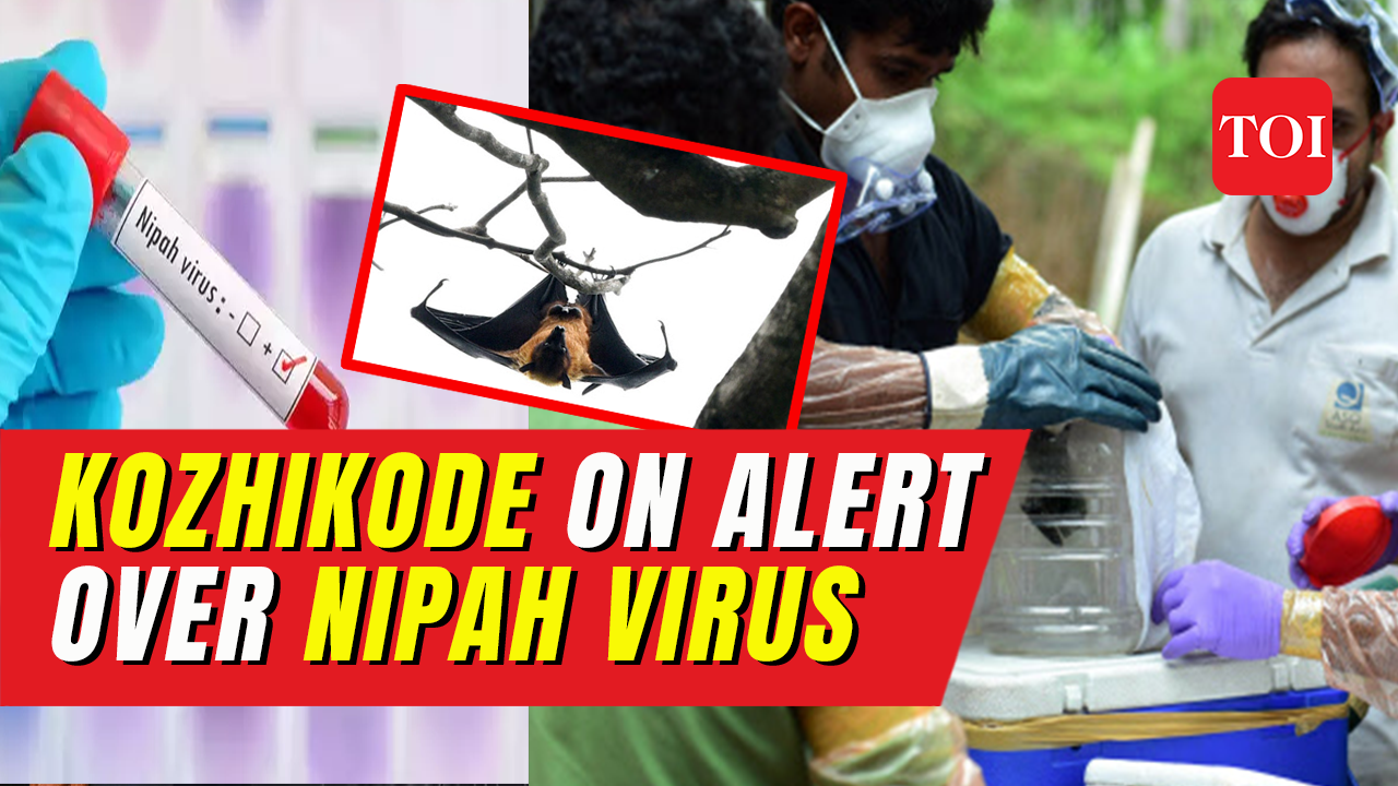 Kerala: Kozhikode on alert over two suspected Nipah virus deaths