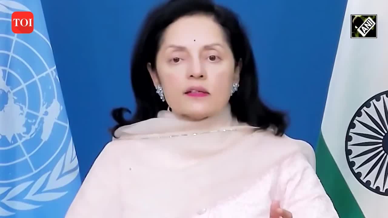 India's UN representative prioritizes climate, finance, and human ...