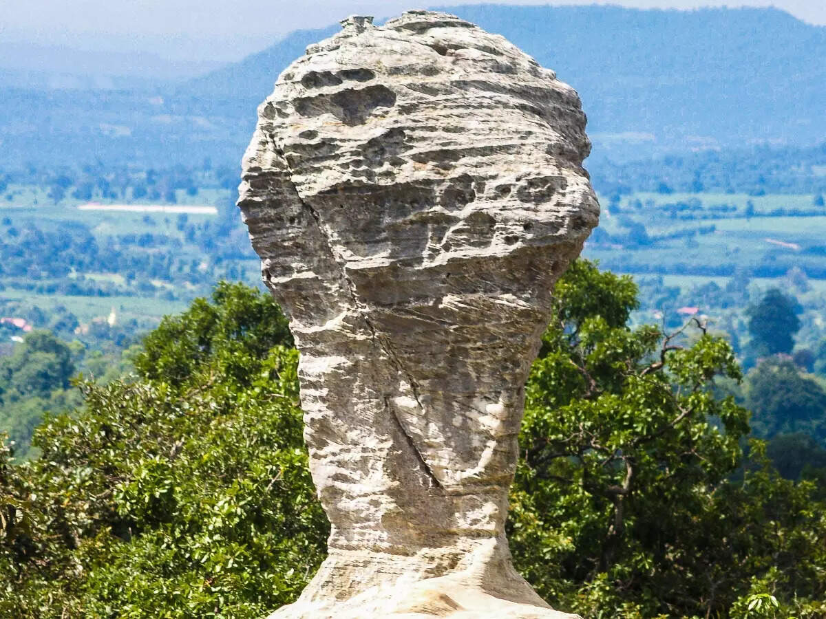 Thailand's natural World Cup ‘trophy’ is here to stay | Times of India ...