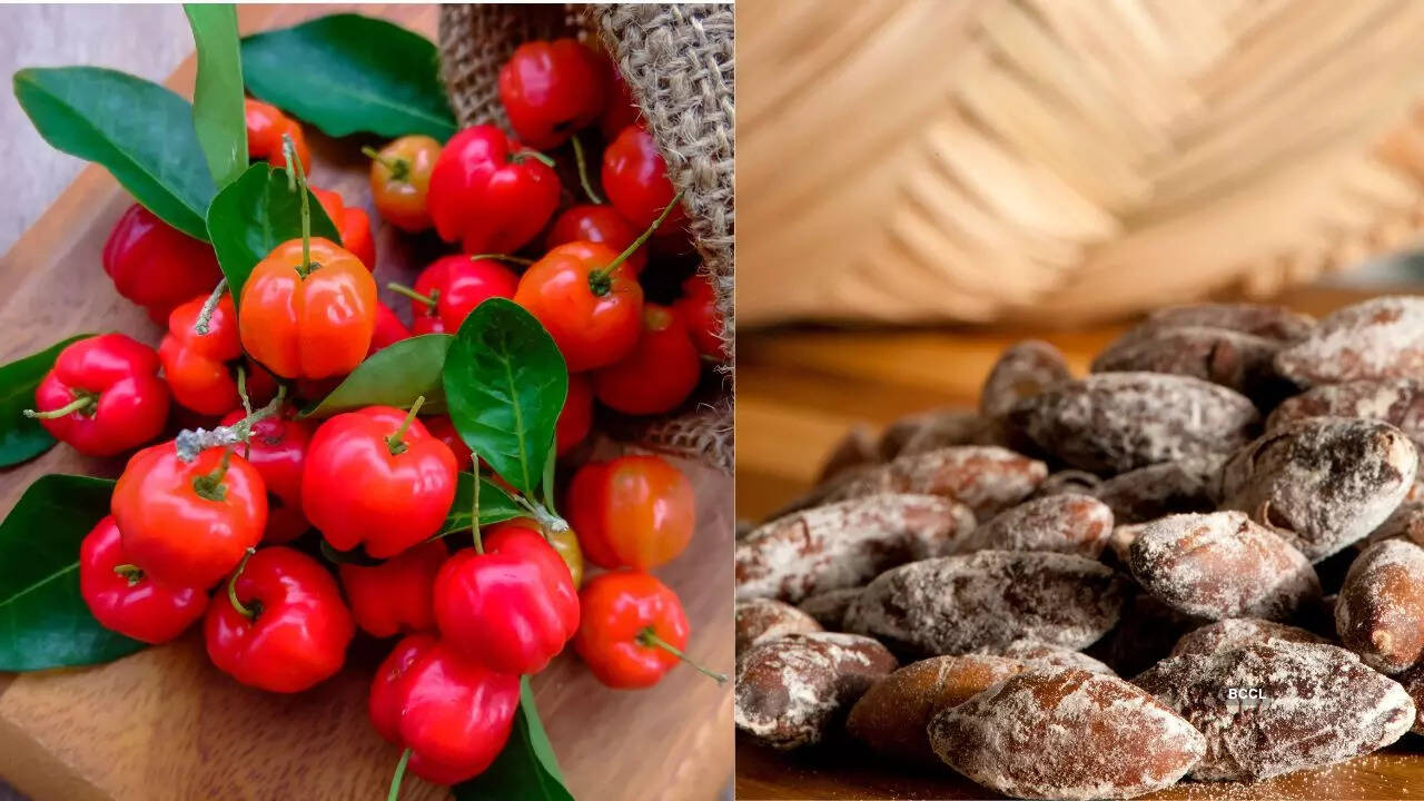 Brazilian fruits can impact gut bacteria and fight…