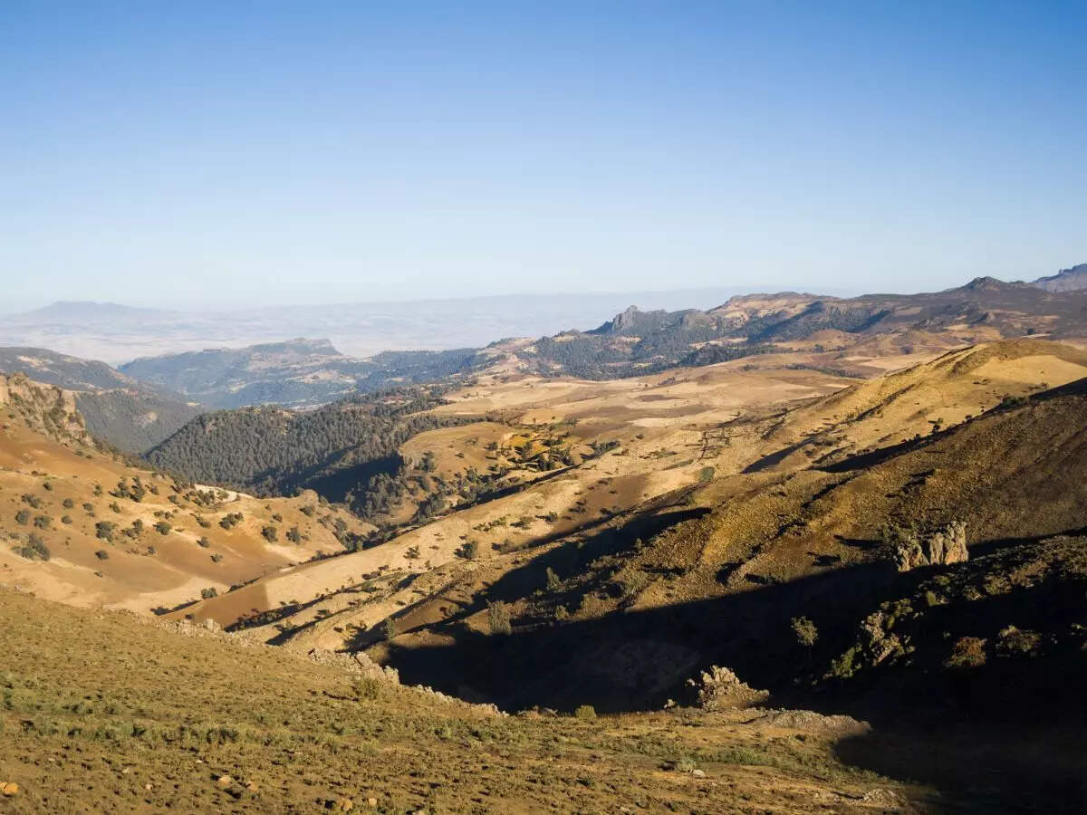 Answers to why UNESCO chose Ethiopia’s Bale Mountains National Park as ...