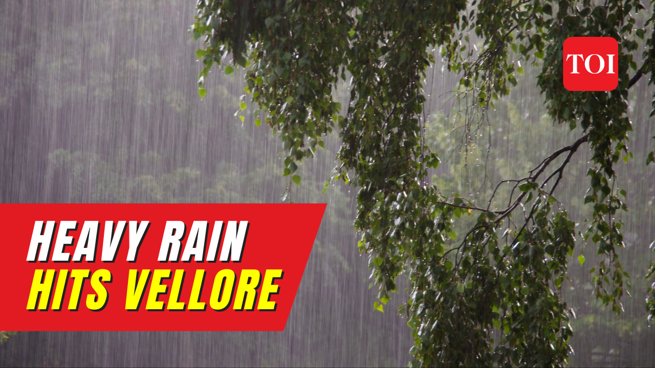 Tamil Nadu: Heavy rain lashes parts of Vellore district