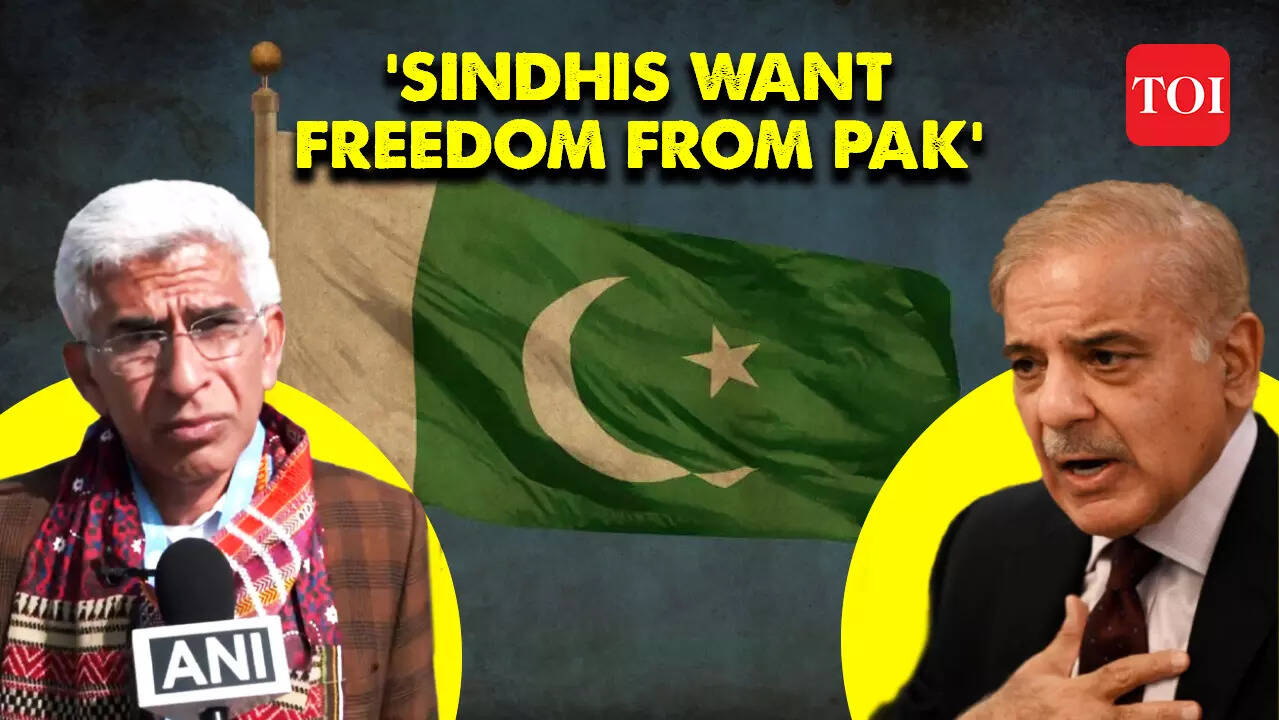 'Pakistan is a curse on the earth...': Sindhi Foundation holds protest ...