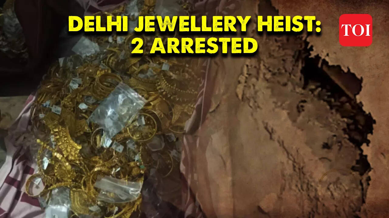 Delhi gold heist: Cops nab 2 from Chhattisgarh in Rs 25 crore theft ...