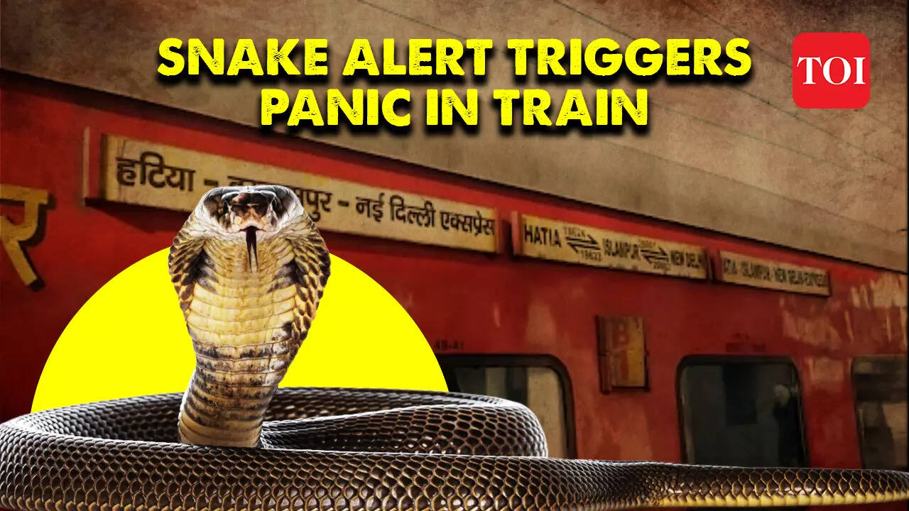 Watch: Snake scare halts Magadh Express in UP, coach detached ...