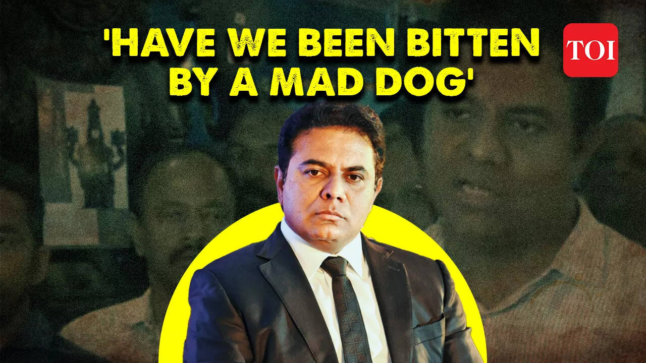 'Not bitten by mad dog': KCR's son KT Rama Rao counters PM Modi over ...