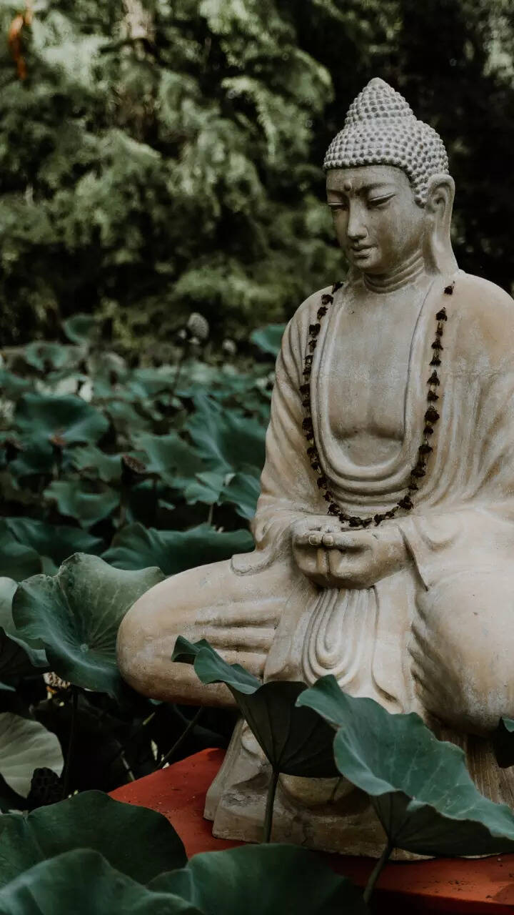 Buddha Quotes About Friendship An Insincere And Evil Friend, Buddha