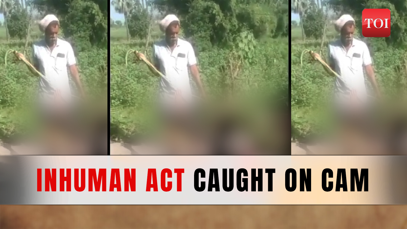 On cam: Man ties up youth, thrashes him over theft suspicion in MP's ...