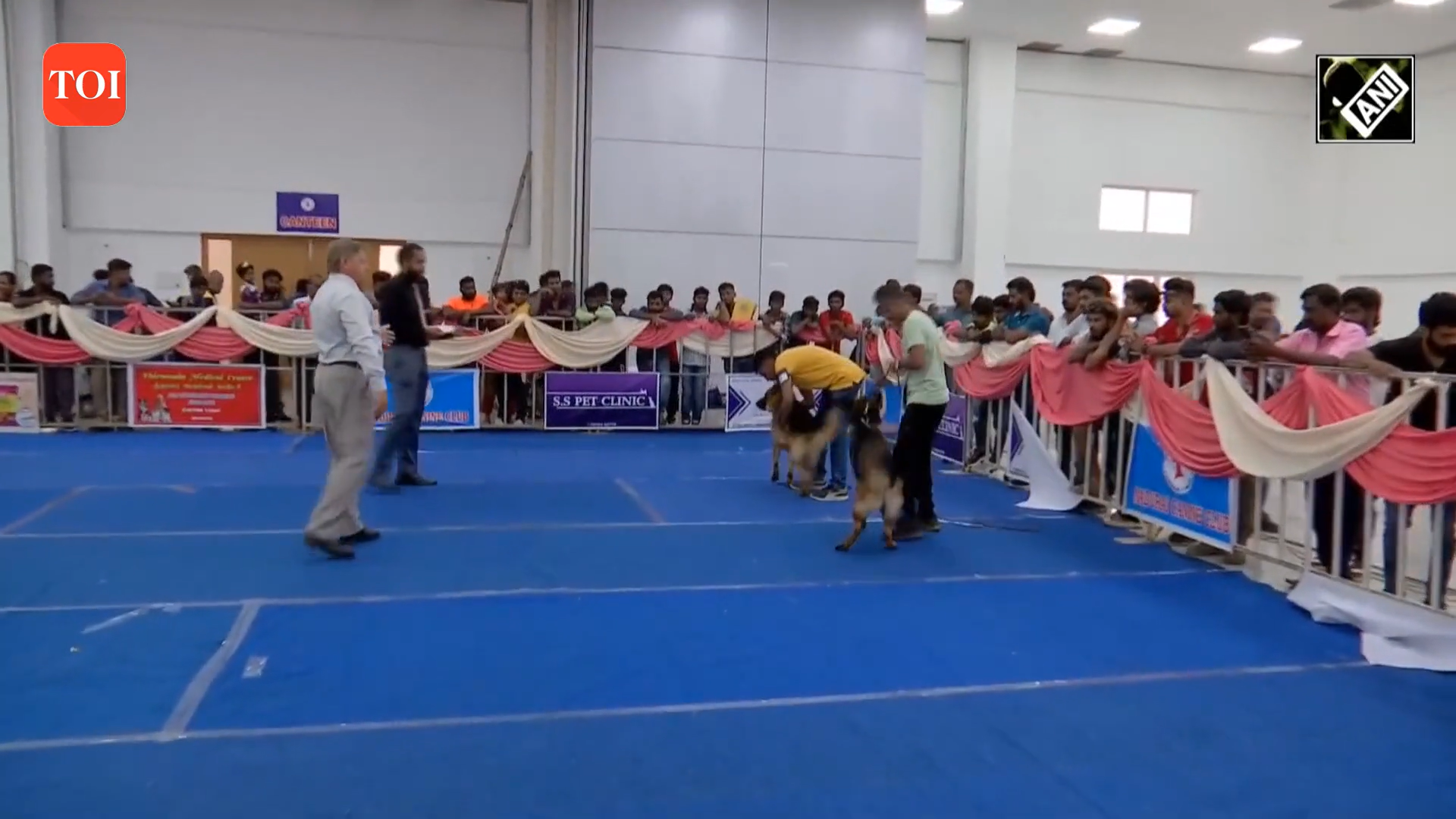 Dog show organised in Madurai, over 50 dog breeds participate: Tamil Nadu