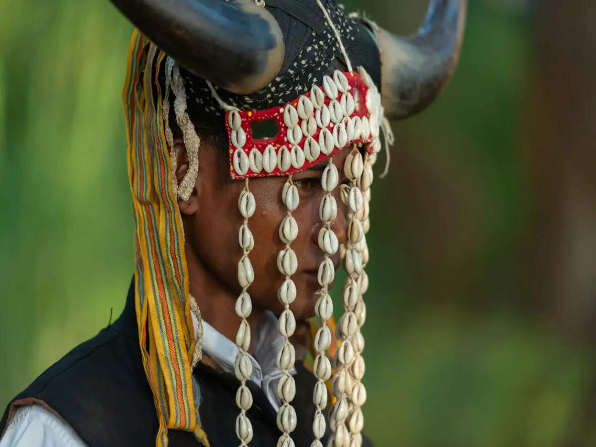 Bastar Dussehra: The longest 75-day Dussehra celebration in India ...