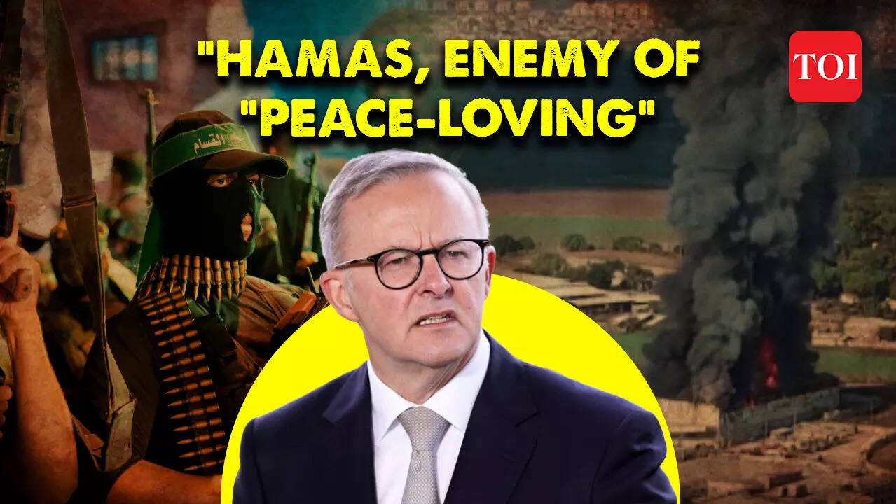 Australian PM Anthony Albanese expresses concerns for Palestinians amid ...