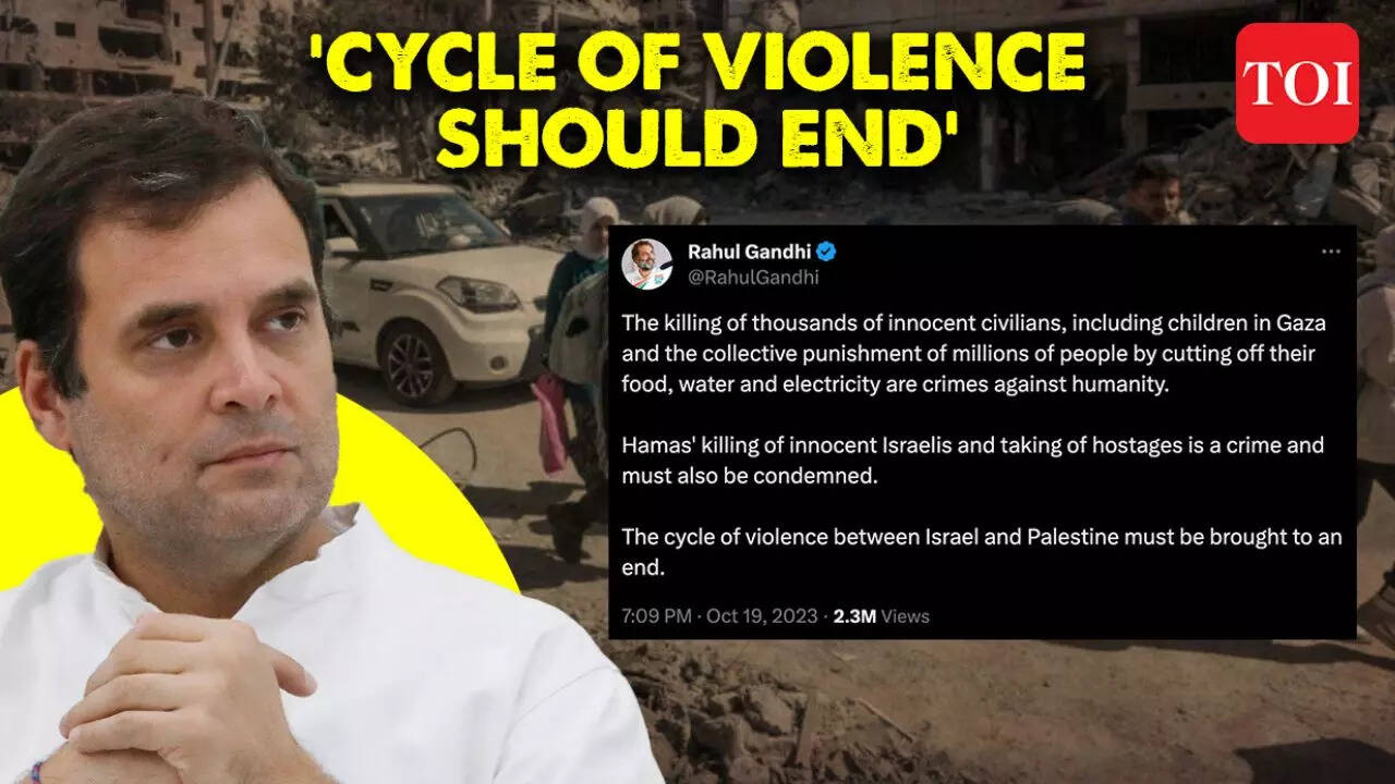 Cycle of violence between Israel and Palestine must be brought to an ...