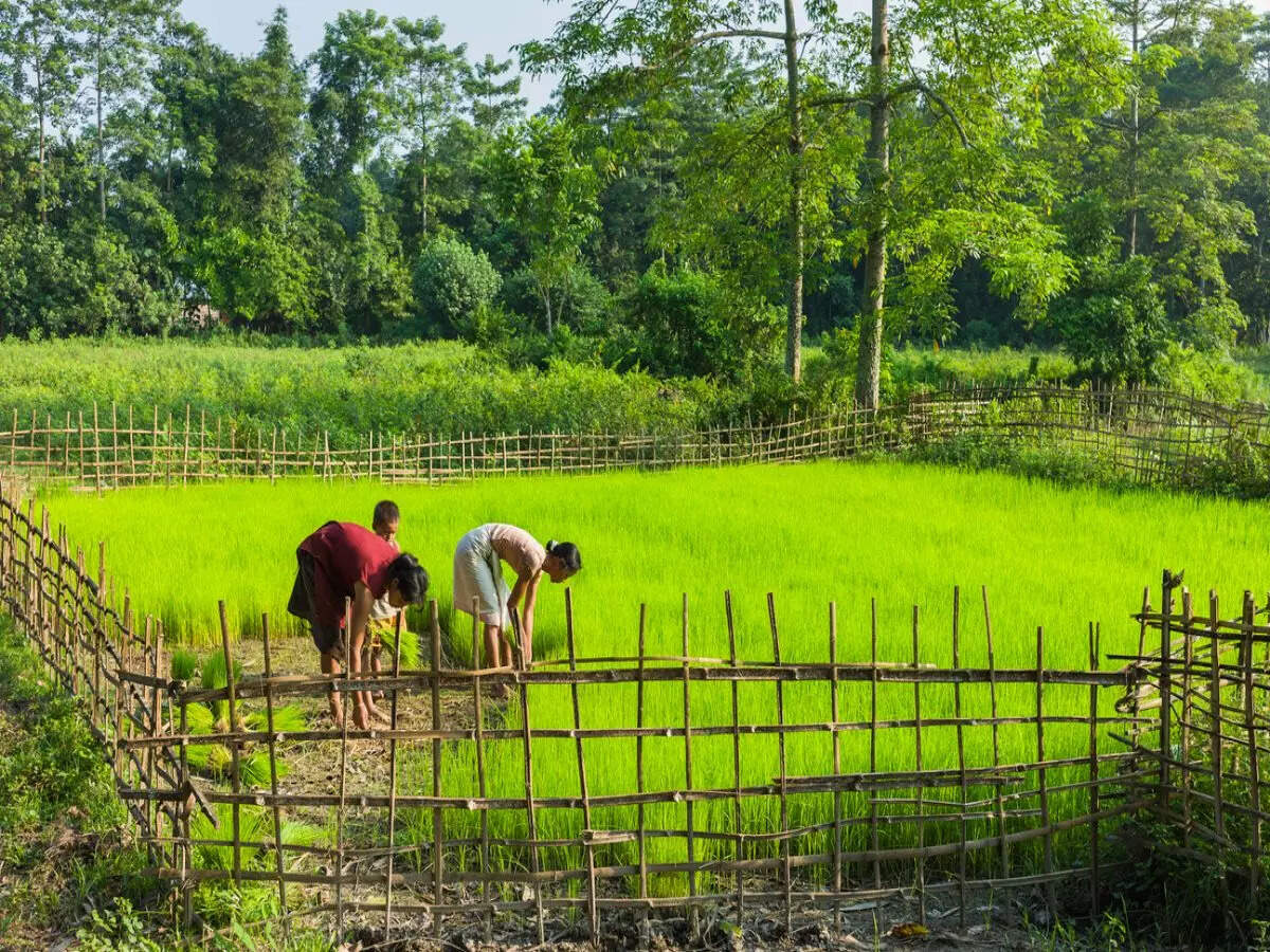 Haflong: The only hill station in Assam, Assam - Times of India Travel