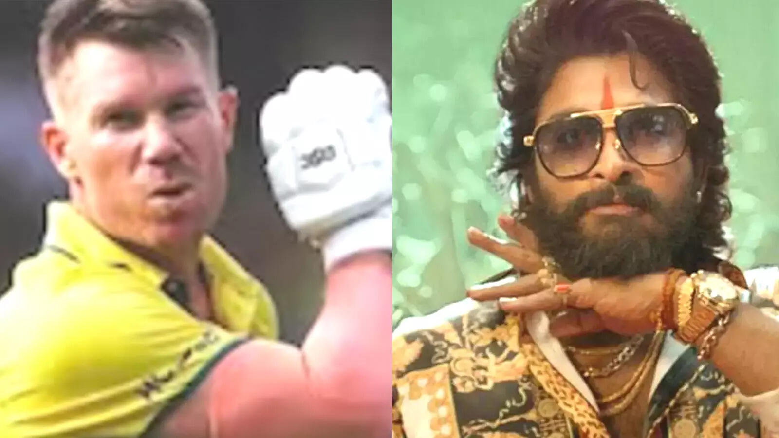 David Warner takes over the internet by performing Allu Arjun’s famous ...