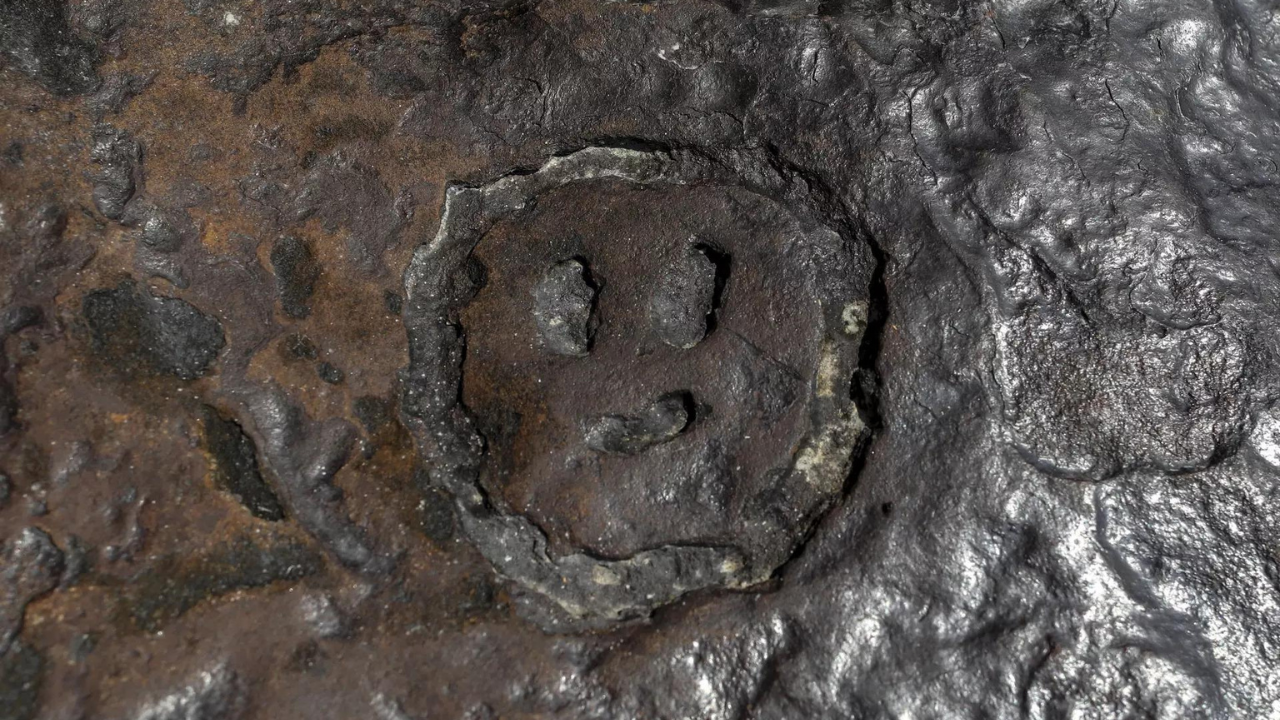 Amazon drought reveals centuries-old rock carvings amidst climate ...