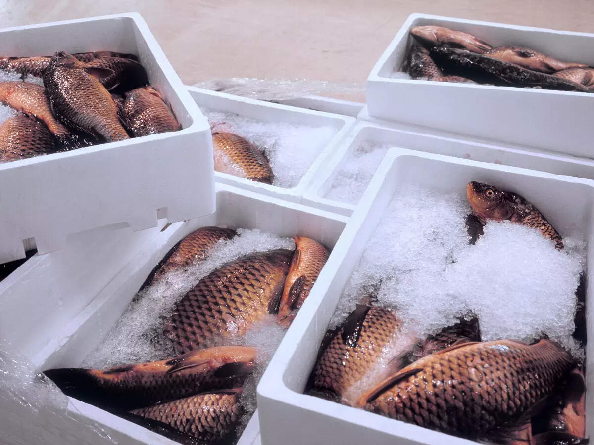 6 smart ways to preserve the freshness of frozen seafood