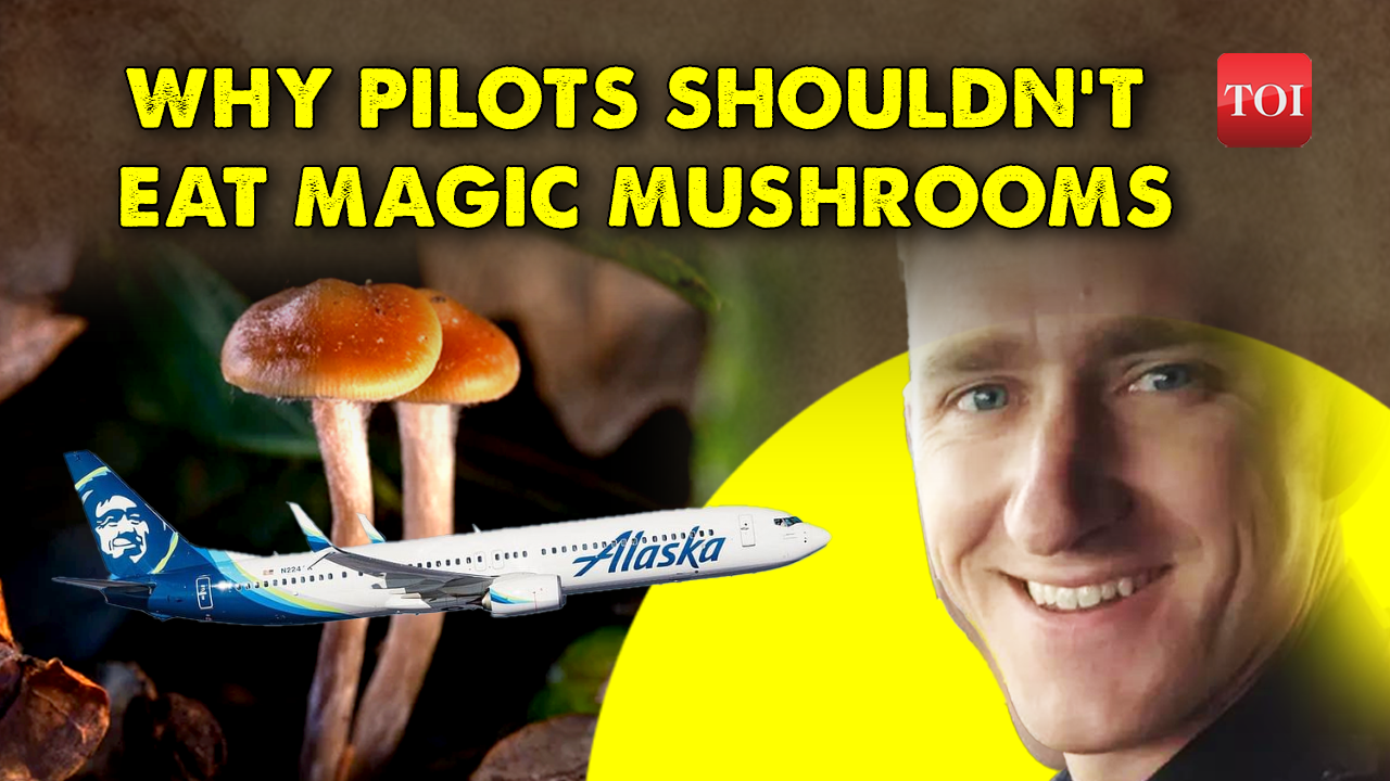 Shocking: Off-duty pilot tries to shut down plane engine mid-air, says he had eaten magic mushrooms