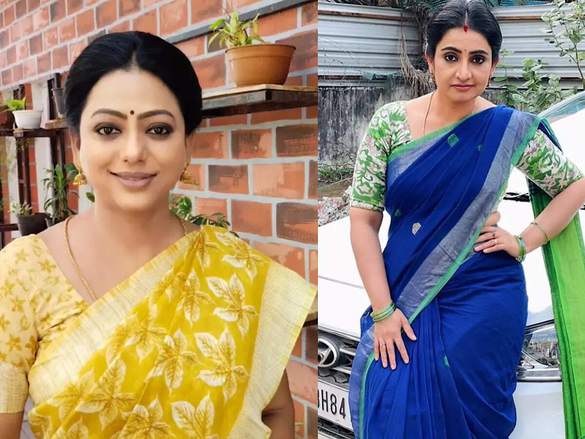 Baakiyalakshmi to Pandian Stores: Tamil TV soaps that have middle-aged ...