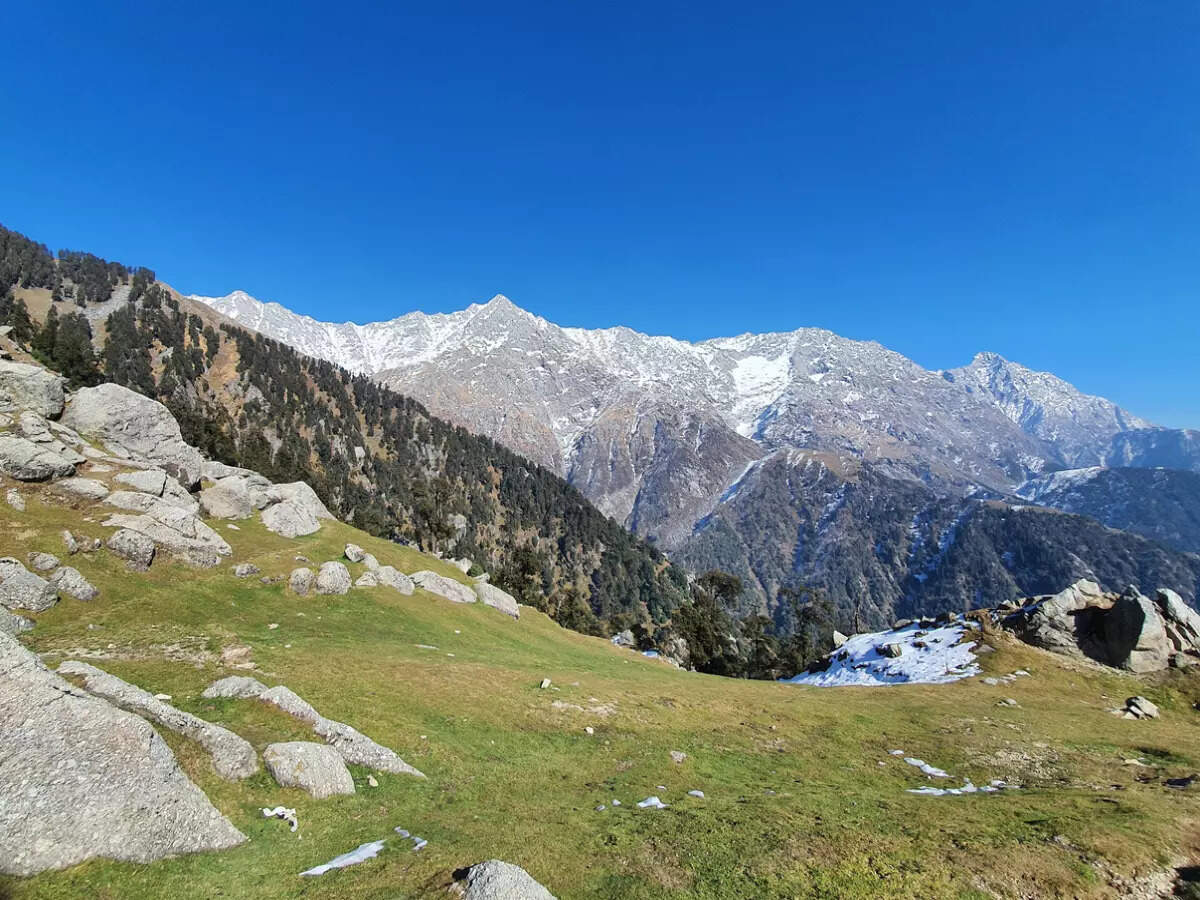 What is Dharamsala’s Snowline Trek all about? | Times of India Travel