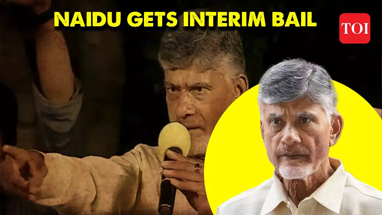 Andhra HC grants interim bail to TDP chief N Chandrababu Naidu in Skill Development Scam Case