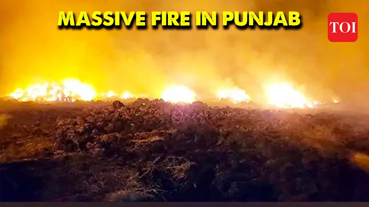 Massive fire engulfs stubble storage house in Ferozepur’s Saiyanwala ...