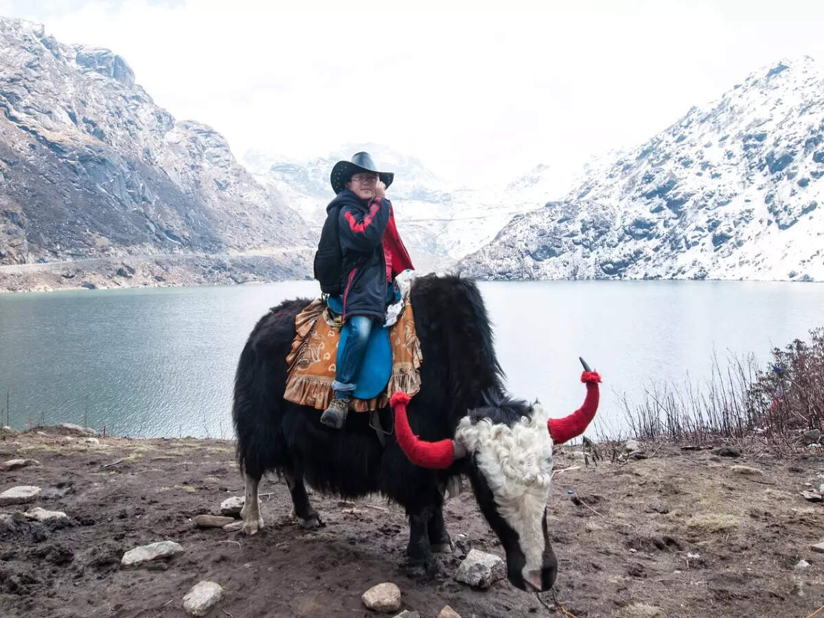 Sikkim in India becomes one of the coolest destinations to visit in ...