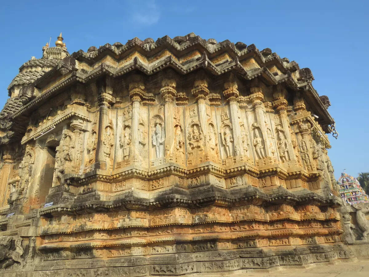 Secrets of the Zodiac Pillars of Vidyasankara Temple in Sringeri ...