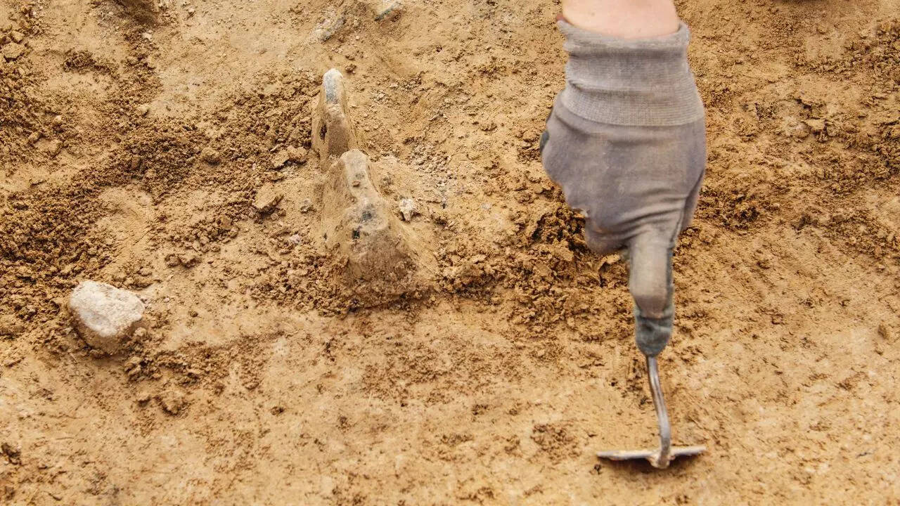 Researchers find the oldest-known burial site and it was not created by Homo sapiens - Times of ...