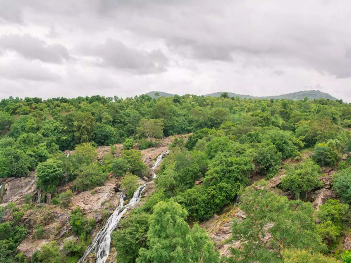 Kunchikal Waterfalls: Interesting facts about the tallest waterfall in ...