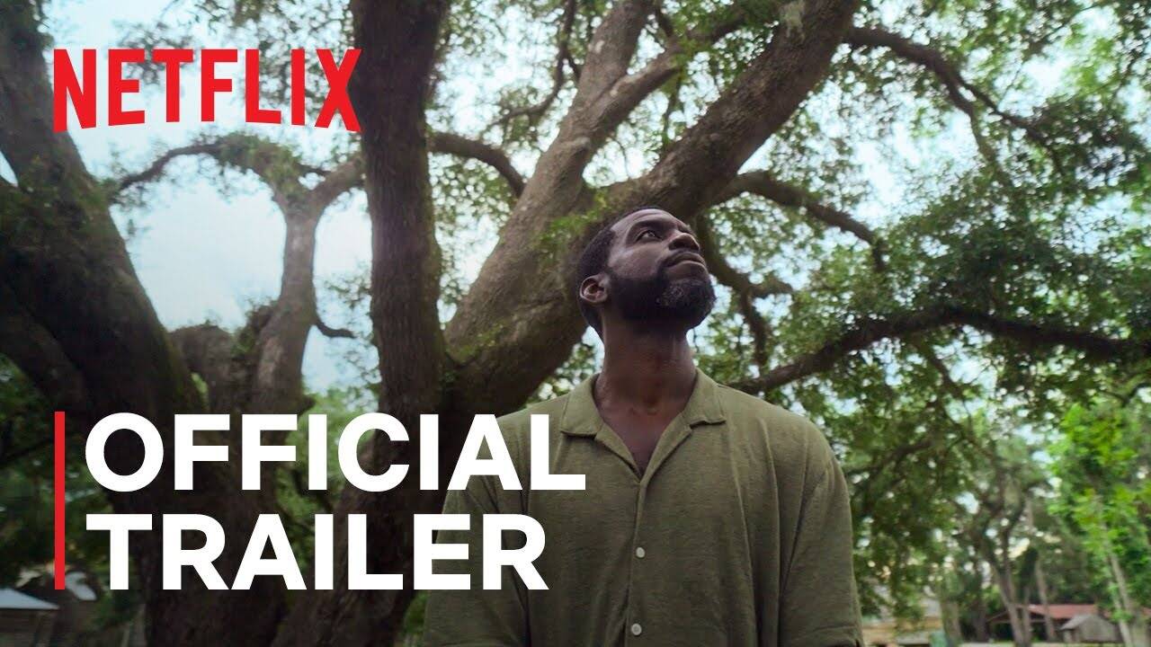 'High On The Hog: How African American Cuisine Transformed America ...