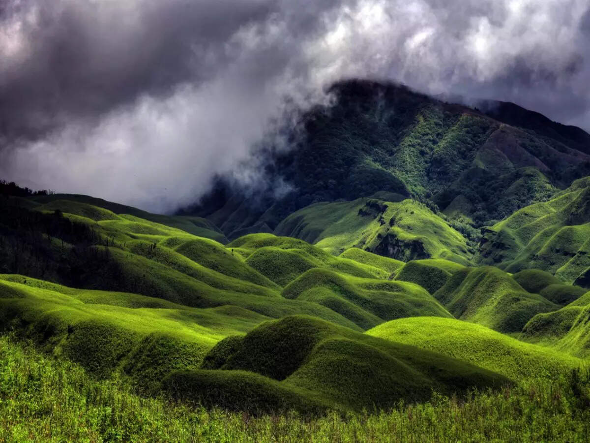 Dzukou Valley: Kohima's enigmatic natural wonder | Times of India Travel