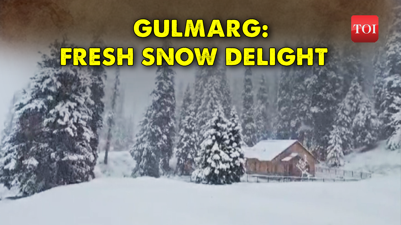 Gulmarg transforms into winter wonderland with fresh snowfall