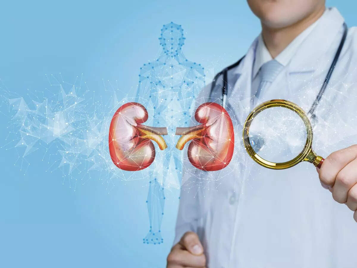 Warning signs that indicate you must pay attention to your kidneys