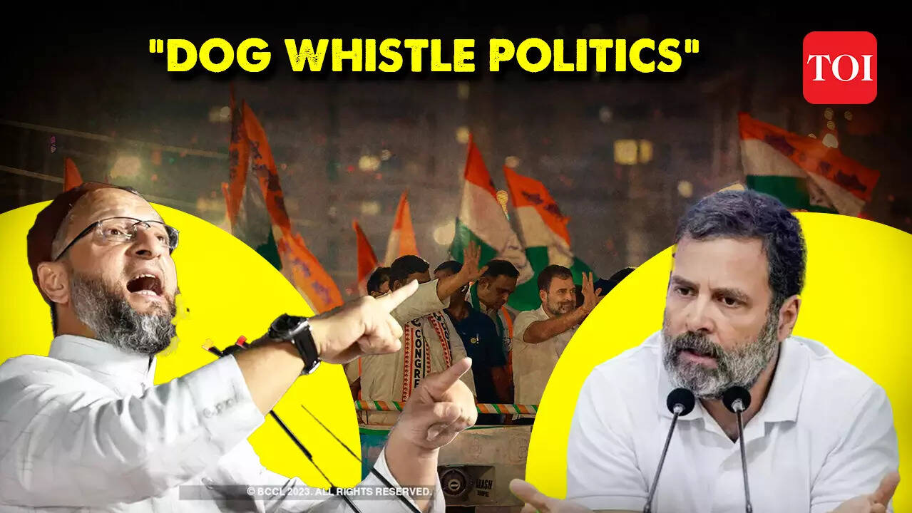 "Mohan Bhagwat is controlling you": Owaisi accuses Rahul Gandhi of "dog ...