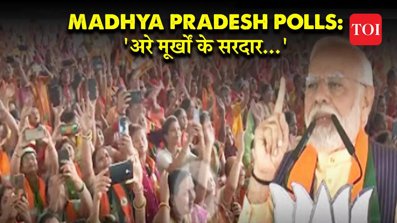 Madhya Pradesh polls: 'Congress has never talked about being vocal for local even once', says PM ...