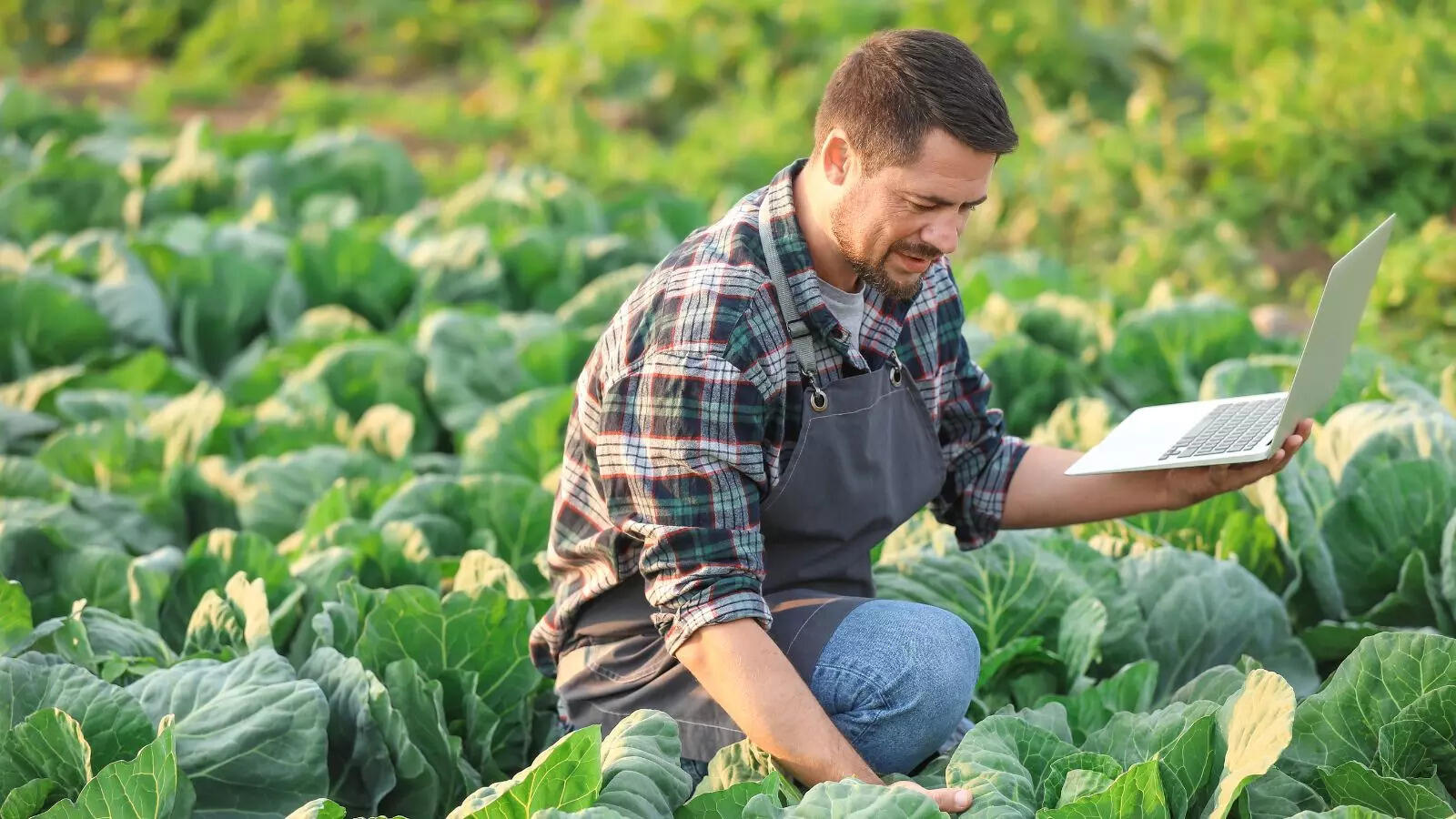 Top 10 Career Opportunities in Agriculture Engineering